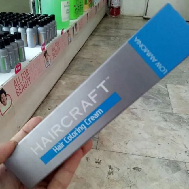 HBC Haircraft Hair Coloring Cream (Burgundy 6.2) | Lazada PH