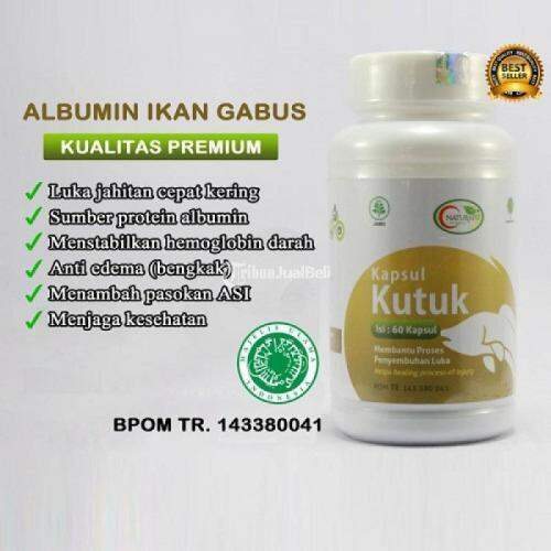 Kapsul Kutuk 100% Asli Ekstrak Ikan Gabus | Lazada Indonesia