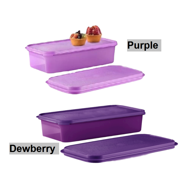 Tupperware Shallow Carry All With Extra Seal (1) 3.2L | Lazada