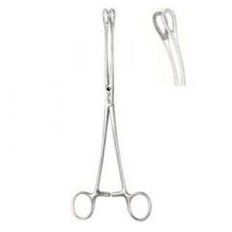 Forester's Sponge Forceps Box Joint Curved, 24cm | Lazada