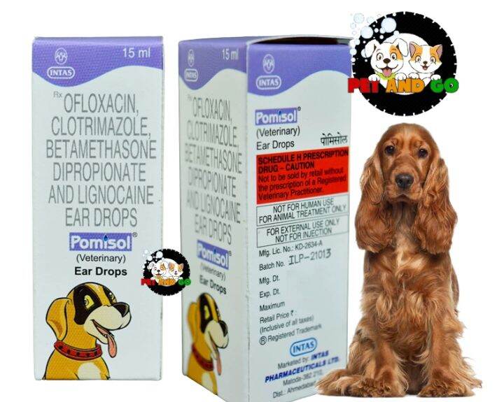 Pomisol Ear Drops 15mL | Lazada PH