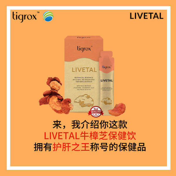 WELLOUS Tigrox Livetal 牛樟芝护肝饮 100% Original正品 (1Box x 20 Sachet) Have ...