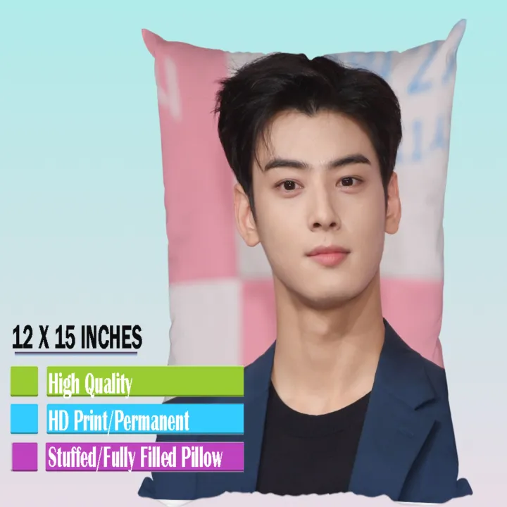 Hallyuness ASTRO Cha Eun-woo K POP Pillow 12 X 15 inches ASTRO_0011 ...