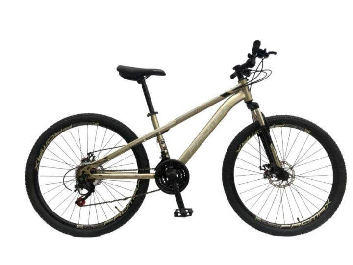 Promax PM10 26er MOUNTAIN BIKE | Lazada PH