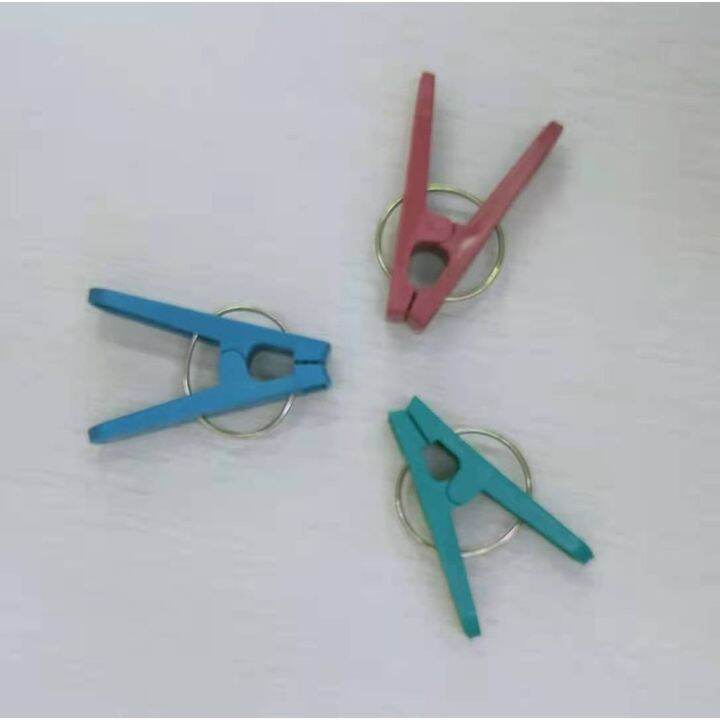 CLOTHES CLIPS(SIPIT) 1KG estimated 195-200pcs/kg | Lazada PH