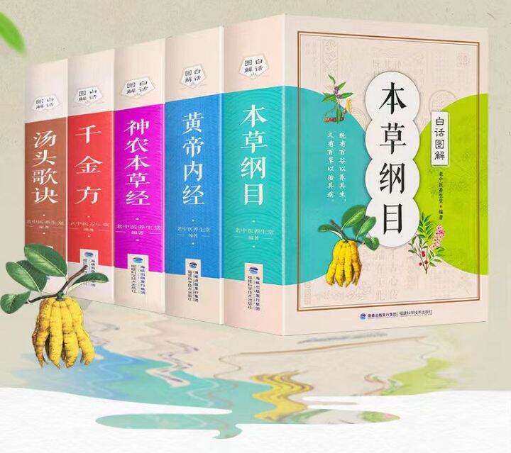 Huang Di Nei Jing Traditional Chinese Medicine Health Books Daquan ...