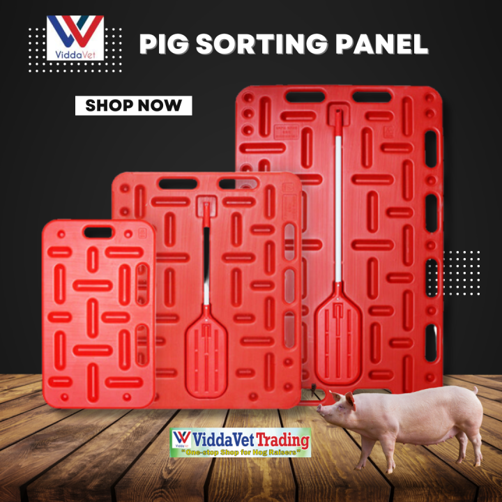 Viddavet Sorting panels for weighing pigs pig cutting boards pig hurdles sorting panel boards ...