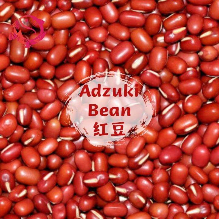 B025 - Kacang Merah | Adzuki Bean/Red Mung Bean | 红豆【300g】 | Lazada