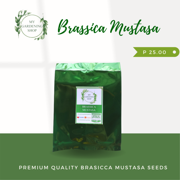 My Gardening Shop Premium Quality Brassica Mustasa Seeds | Lazada PH