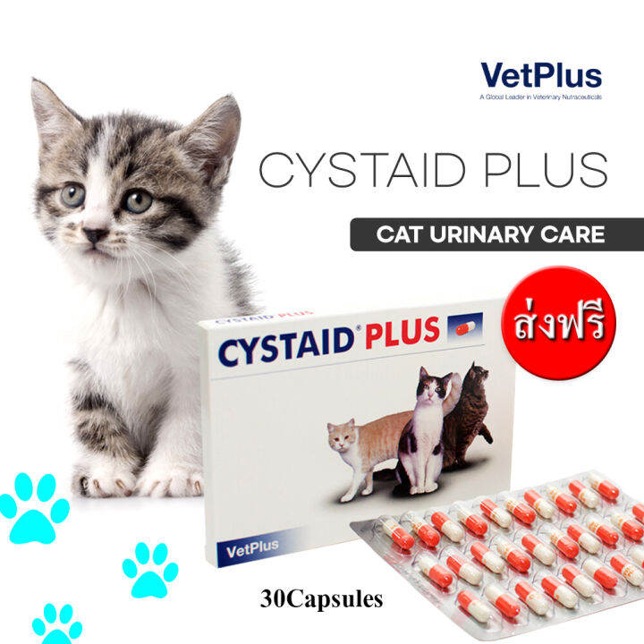 [[ส่งฟรี]] CYSTAID Plus (Exp.05/2023) บรรจุ 30 แคปซูล ซิสเตท พลัส อาหาร ...