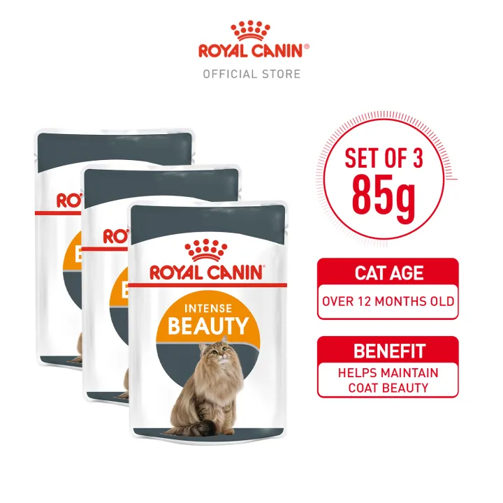 Royal Canin Intense Beauty Wet Cat Food (85g x 3 pouches) - Feline Care ...