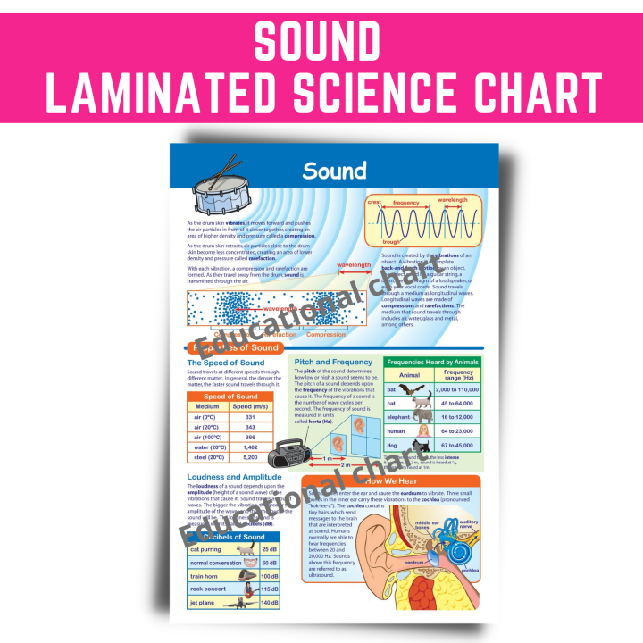 LAMINATED CHARTS SOUND POSTERS CHARTS I ALL ABOUT SCIENCE CHARTS, A4 ...