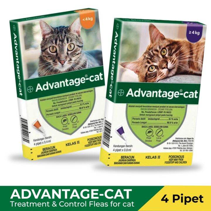 Elanco Advantage Cat Spot On Flea Treatment For Cats(0.4ml x 4 / 0.8ml ...