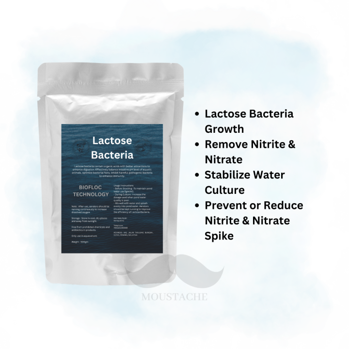 Lactose Bacteria | Probiotic for Aquaculture Biofloc 500gm | Lazada