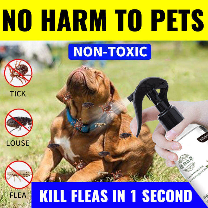 500ml pet spray can remove ticks. It is suitable for dogs and cats to prevent ticks (Garapata ...