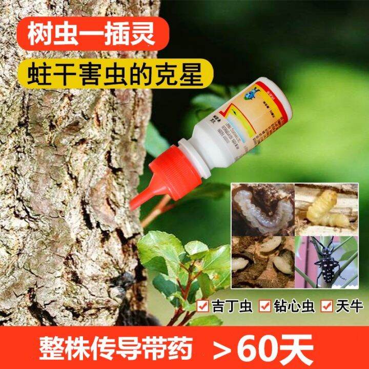 Tree fruit tree borer insecticide tree Chongjing longhorn beetle larvae tree worm Yichaling ...