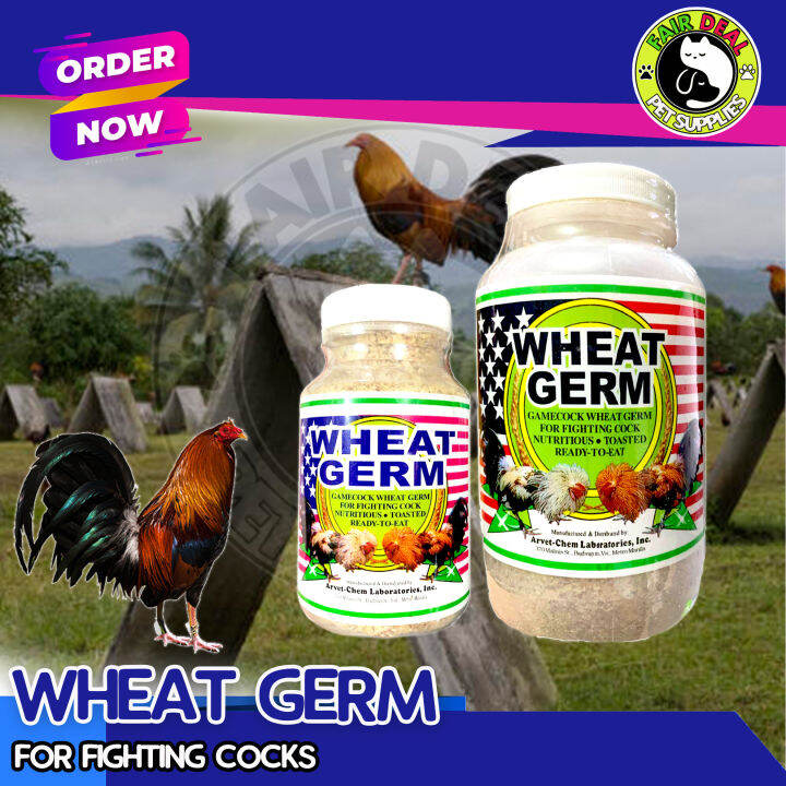 Wheat Germ (100 grams & 280 grams) | Lazada PH