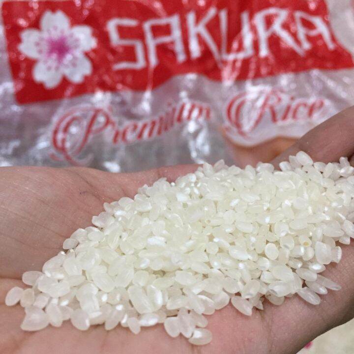 1Kgs. Premium Japanese Sakura Rice Sushi Short Grain Pure Rice | Lazada PH