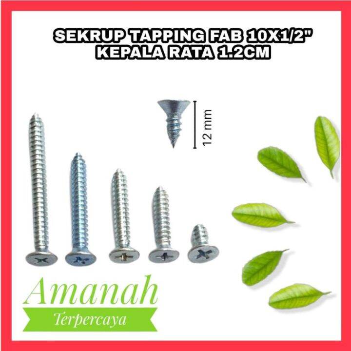 SEKRUP TAPPING FAB 10X1/2" PUTIH SKRUP KEPALA RATA 10 X 1/2 1.2CM ...