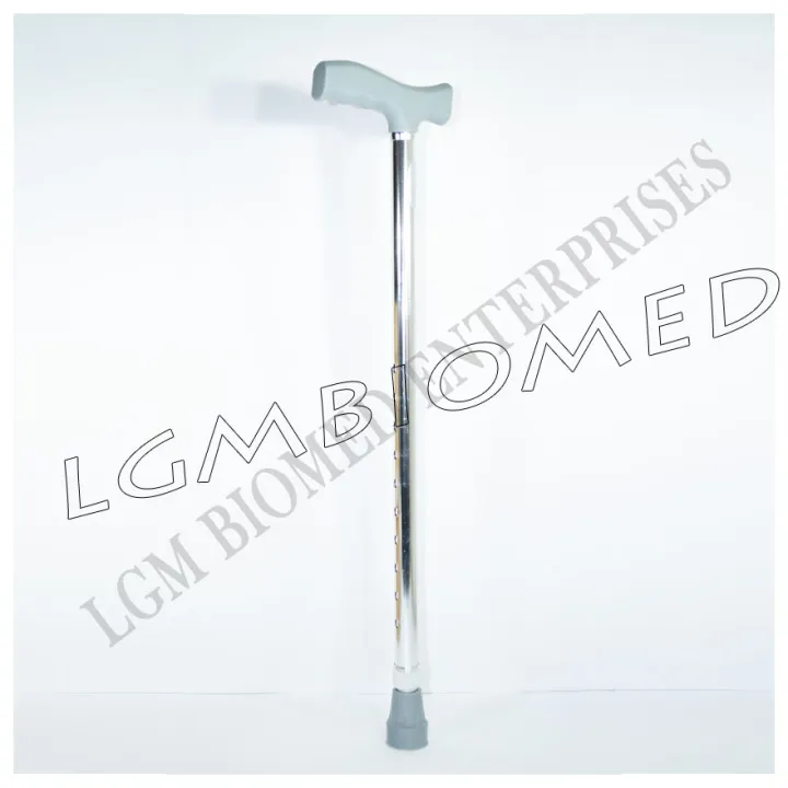 Walking Single Cane Silver (T-Type) | Lazada PH