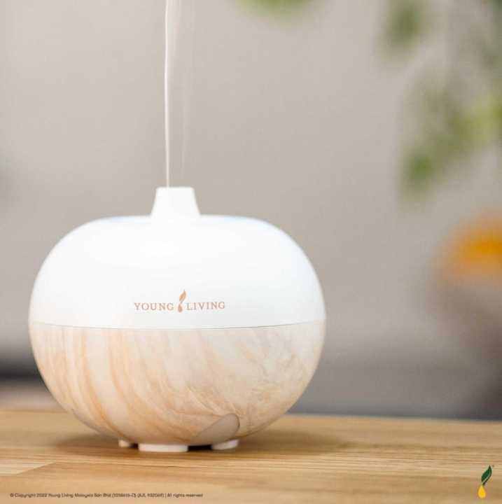 💯Original - Young-Livings AromaGlobe Potable / Wireless Diffuser | Lazada