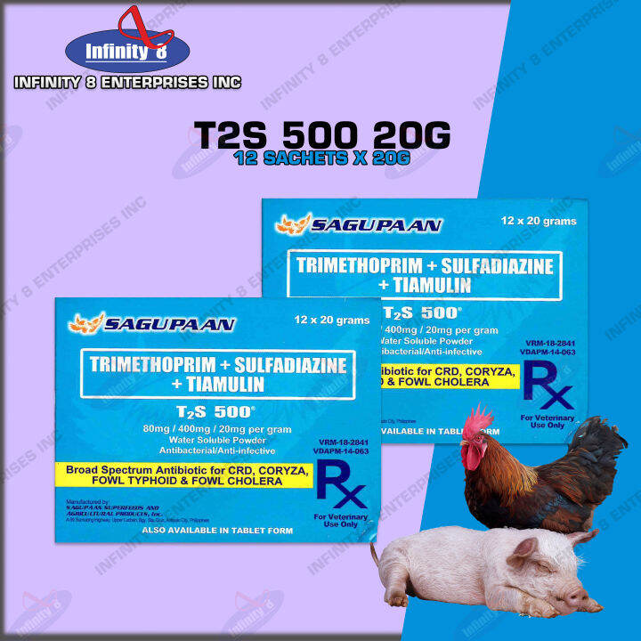 T2S 500 POWDER | Lazada PH