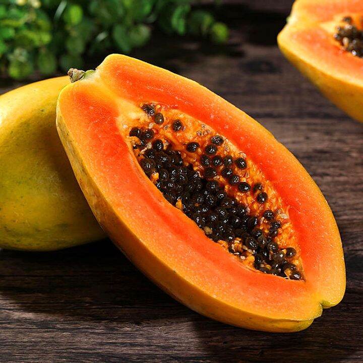 seeds- ）Red heart papaya seeds | Lazada PH