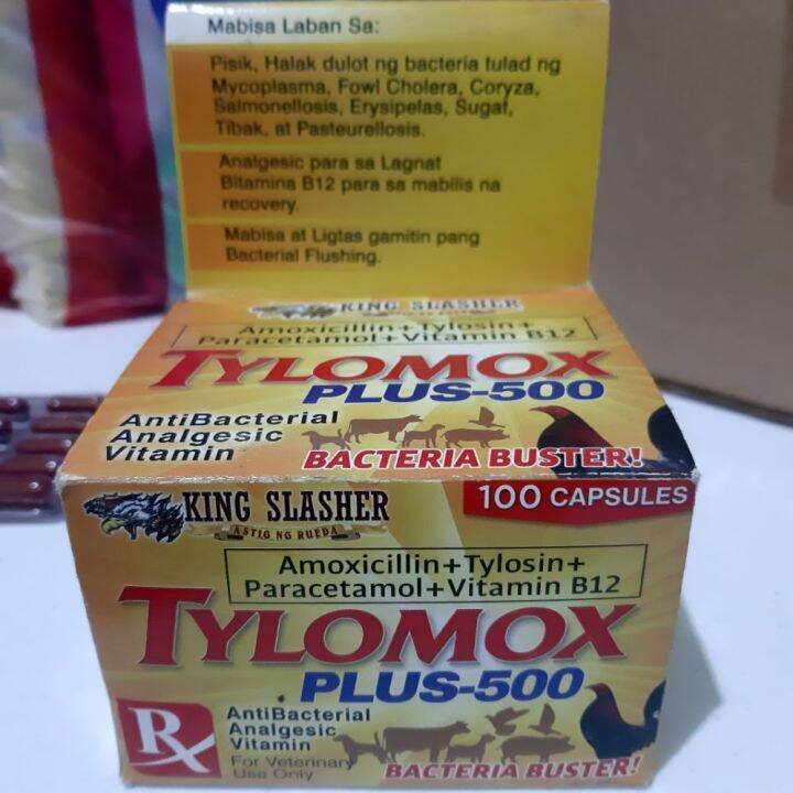 TYLOMOX PLUS 500 100 capsules | Lazada PH