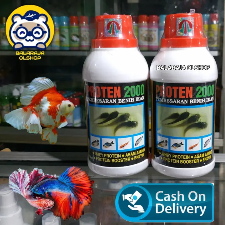 VITAMIN PEMBESARAN BENIH IKAN MAS NILA LELE PATIN BOOSTER PENGGEMUK PROTEN 2000 | Lazada Indonesia