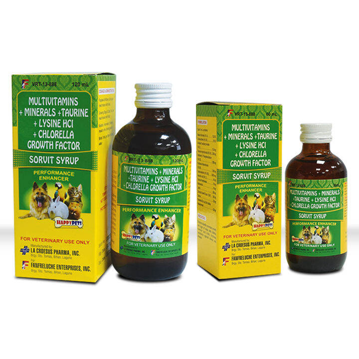 SORVIT SYRUP 120-60 ml | Lazada PH