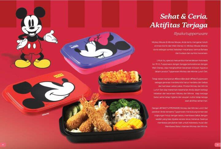 Tupperware Foodie Buddy kotak bekal makan anak set kotak besar dan ...