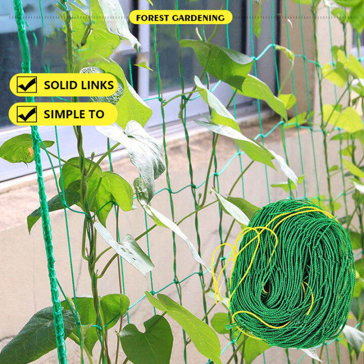 Garden Green Nylon Trellis Netting Support Climbing Bean Plant Nets ...
