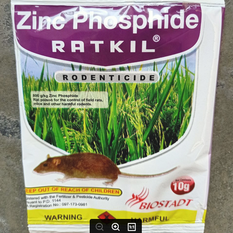 RATKIL ZINC PHOSPIDE Rat Poison 10G lason sa daga Super Effective Promise 100% | Lazada PH