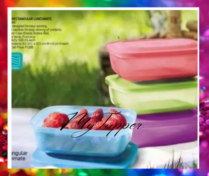 Tupperware Rectangular Lunchmate 500ml | Lazada PH