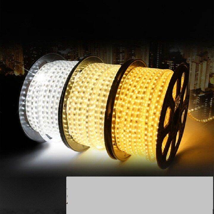 [HCM]ĐÈN LED DÂY ĐÔI 2835 ÁNH SÁNG VÀNG , TRẮNG , ĐÈN LED HẮC TRẦN ...