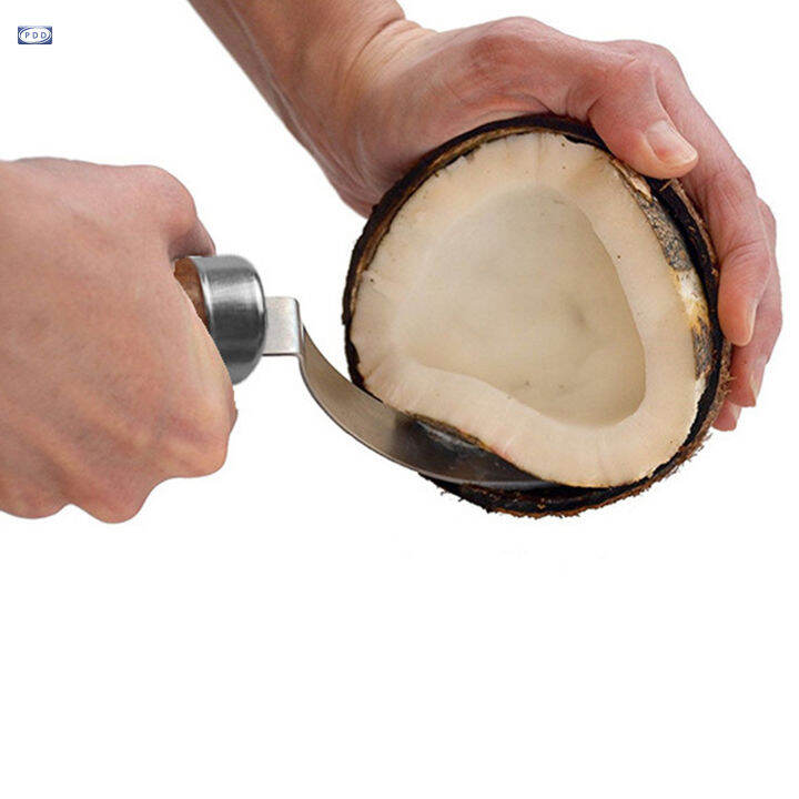 PDD Handle Coconut Pulp Remover Stainless Steel Coconut Opener for ...
