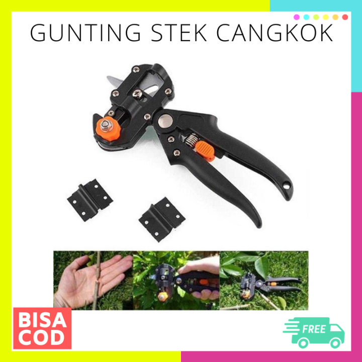 GUNTING STEK OKULASI BATANG TANAMAN GRAFTING ( taffware gunting okulasi ...