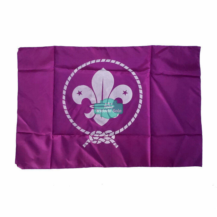 Bendera Pandu Dunia Ungu Besar Pramuka 51x73cm - 1 Buah | Lazada Indonesia