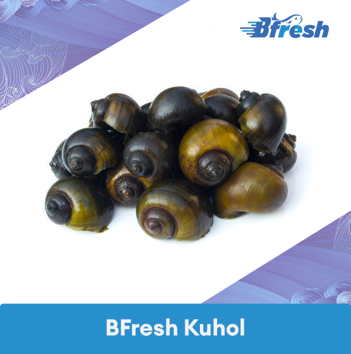 Bfresh Kuhol | Lazada PH