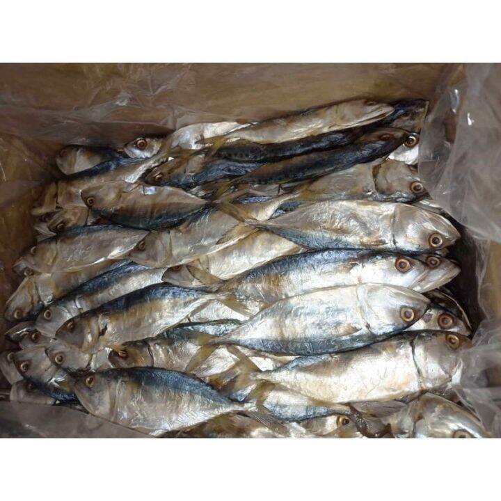 Ikan Masin Kembong | Salted Fish | 咸鱼 300g 500g 1kg | Lazada