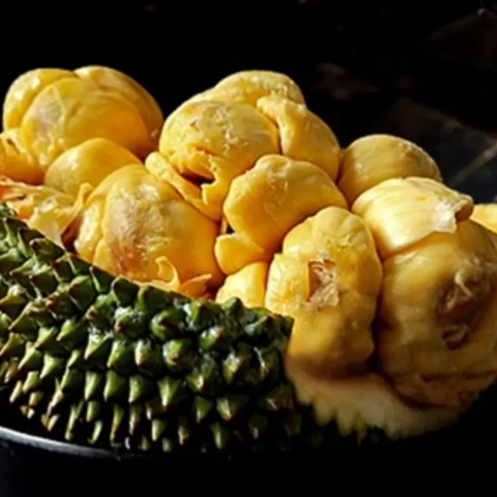 Durian honey small wood jackfruit sapling grafted southern fruit rare ...