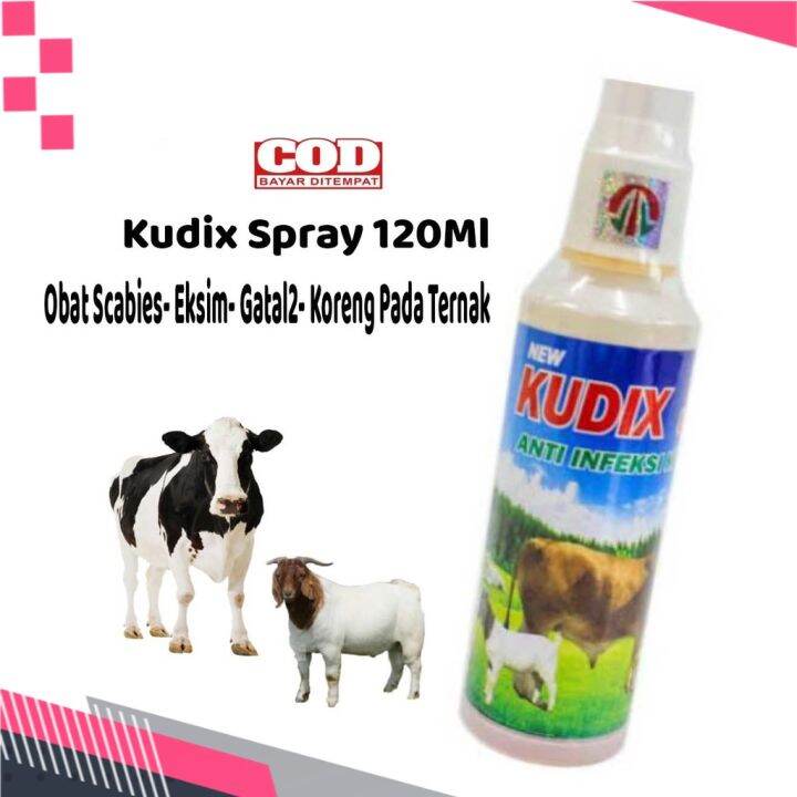 NEW KUDIX SPRAY SAPI 120 ML TAMASINDO OBAT ANTI INFEKSI KULIT KUDIK ...