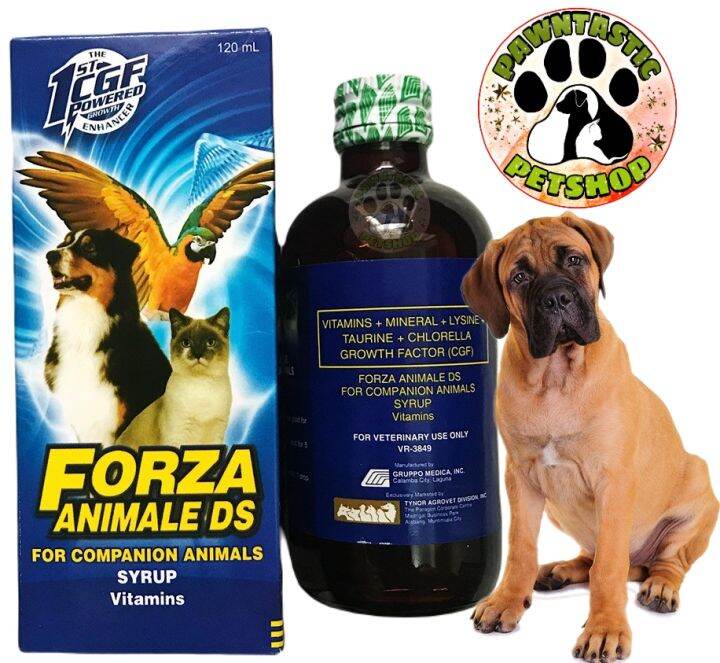 Forza Animale DS 120mL | Lazada PH