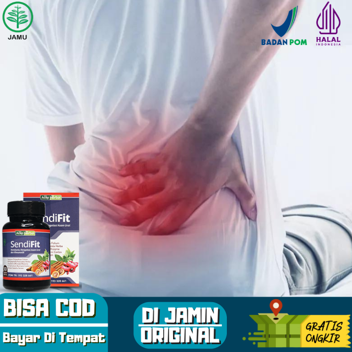 Obat Sakit Pinggang Belakang, Saraf Kejepit, Rheumatoid, Cedera Saat ...