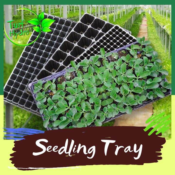Biodegradable Seedling Tray 32/50/72/128 cells w/ holes High Quality ...