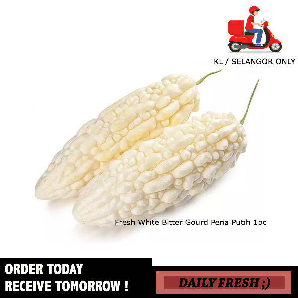 Fresh White Bitter Gourd Peria Putih 1pc Fresh Vegetables | Lazada