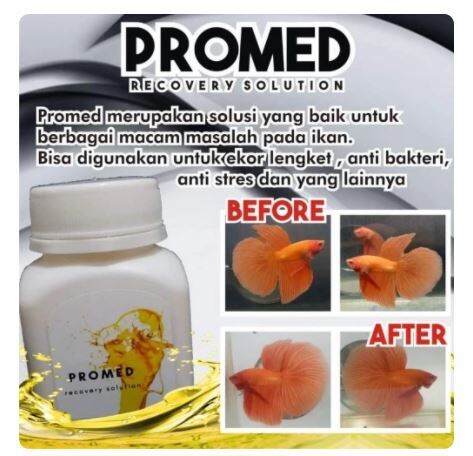 PROMED - Obat Kuning dan Vitamin Ikan Yellow Powder | Lazada Indonesia