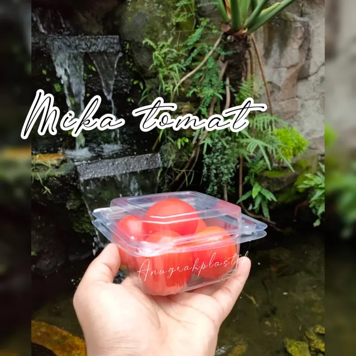 Mika tray plastik buah / Mika tomat / MK - TMT ECERAN per 10 | Lazada Indonesia
