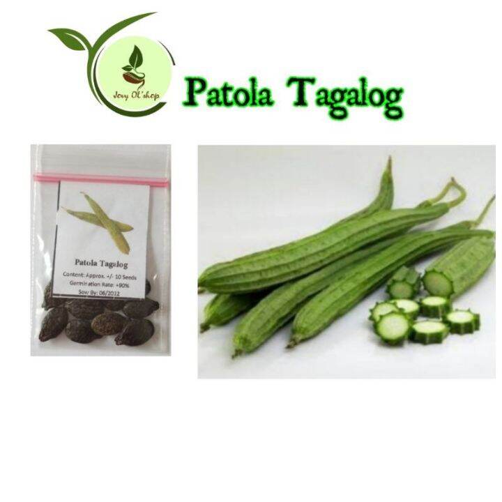 Patola Tagalog Vegetable 10 Seeds | Lazada PH