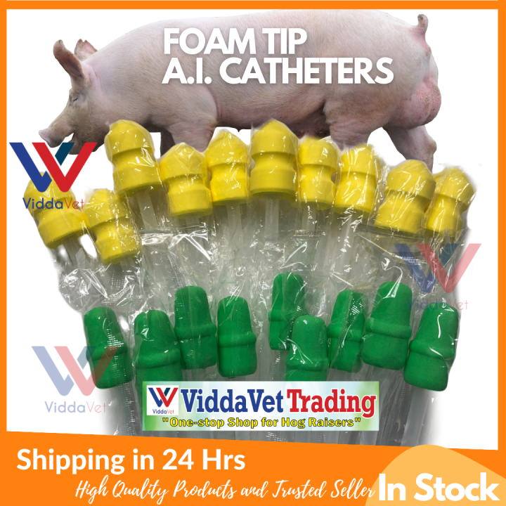 10 pcs Ai catheter for gilt Ai catheter for pigs Catheter for swine 10 ...